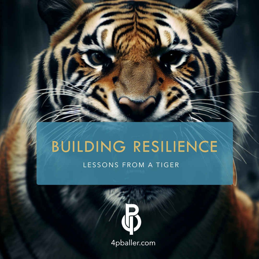 BUILDING RESILIENCE: Lessons from a Tiger - 4pballer