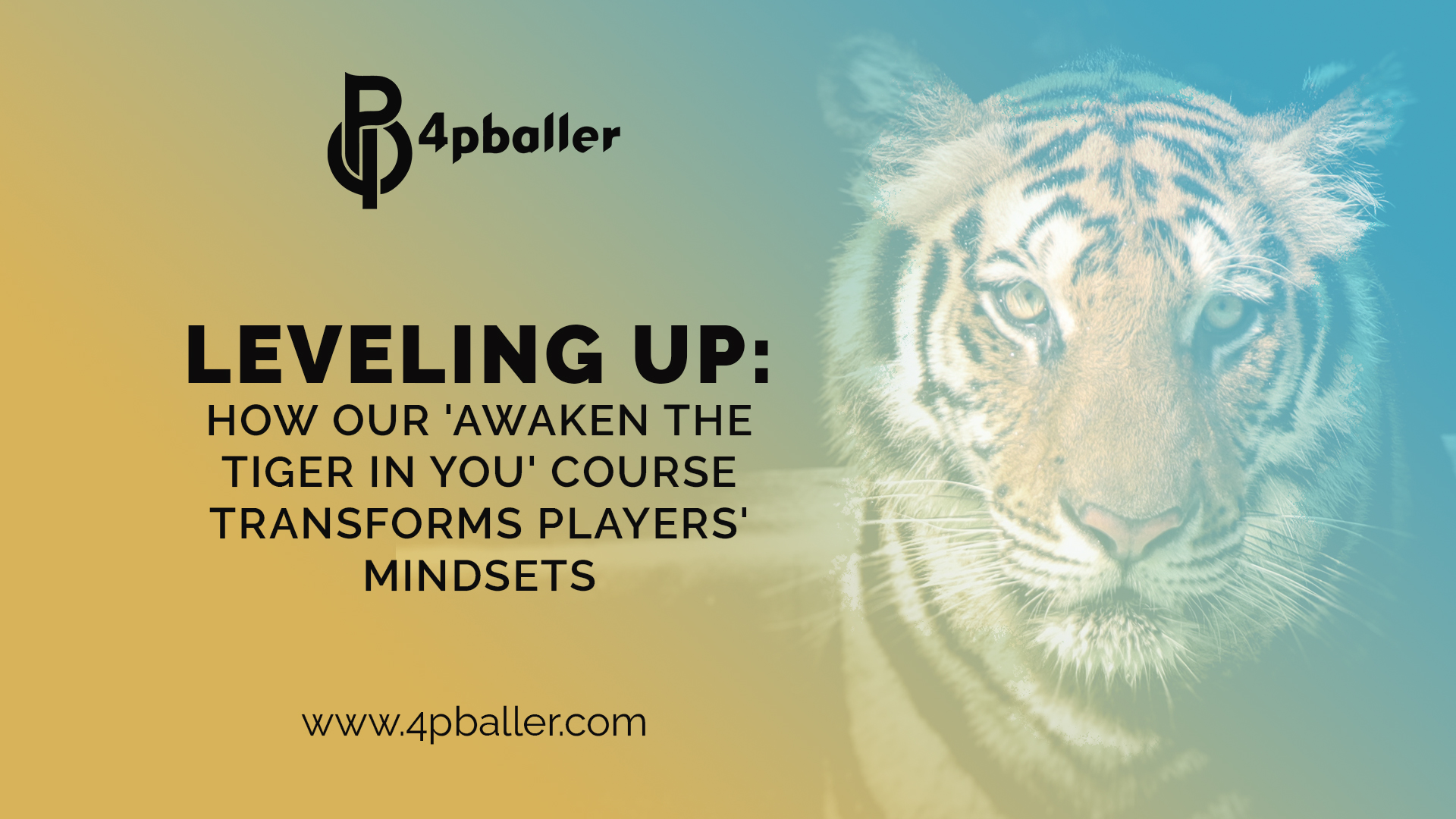 Leveling Up: How Our 'Awaken the Tiger in You' Course Transforms ...